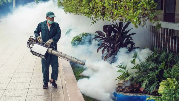 Dengue Spray – Pulse Services